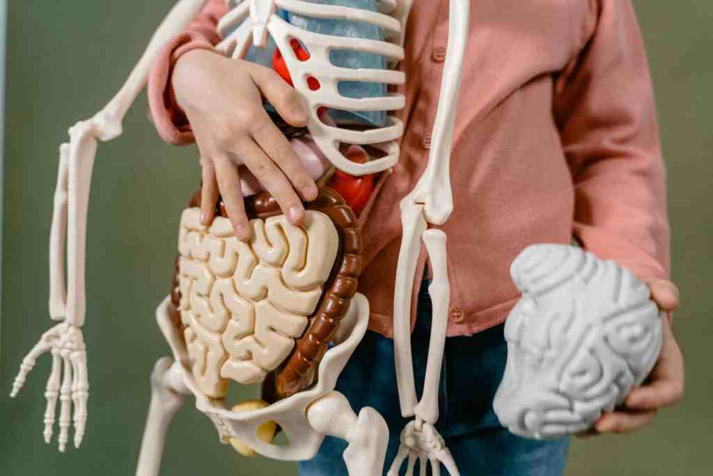 Study Finds Turning Point When Body Starts Aging Rapidly